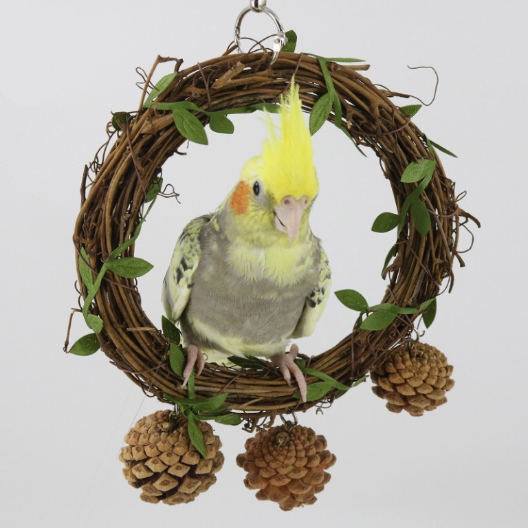 Parrot Pine Cone Green Leaf Rattan | Bird Toy | Parrot Swing, Pet ...