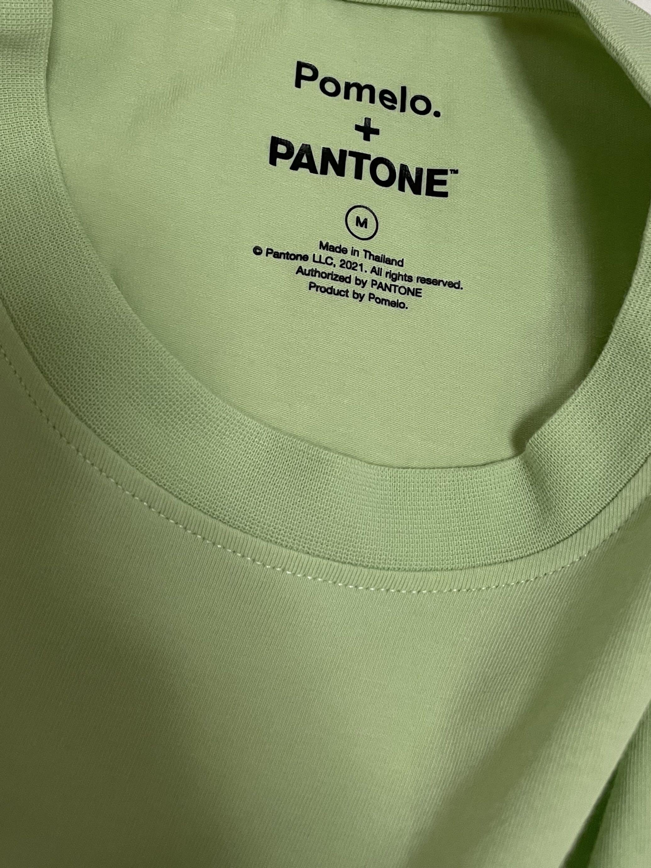 Pomelo Mint/Pastel Green Pantone Tshirt, Women's Fashion, Tops, Shirts ...