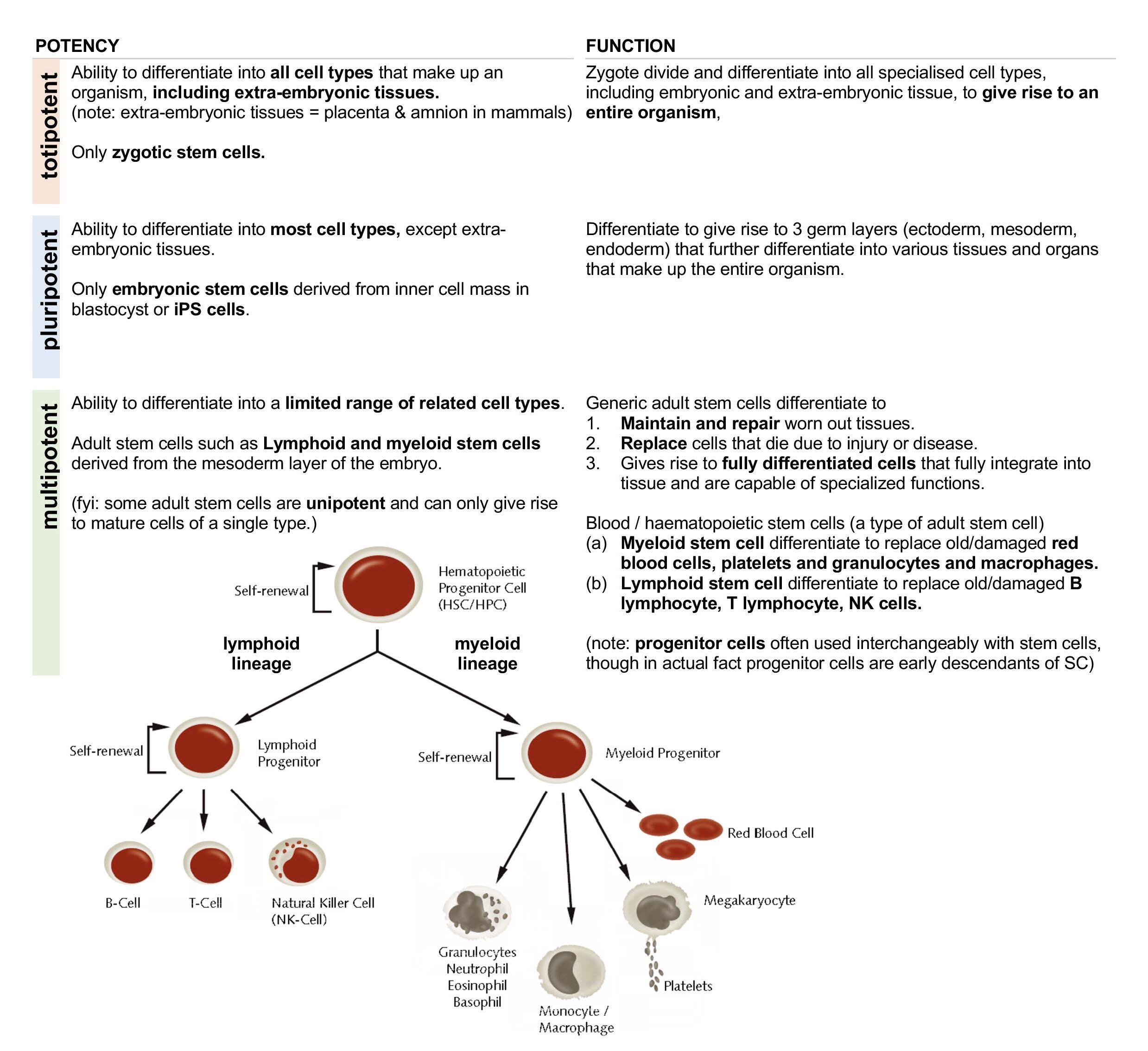 [top] H2 BIOLOGY notes, GCE A Level, bio notes, H2 Biology, BCME, jc ...