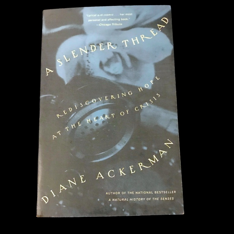A Slender Thread: Rediscovering Hope at the Heart of Crisis by Diane ...