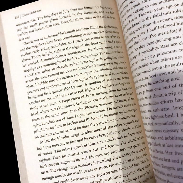 A Slender Thread: Rediscovering Hope at the Heart of Crisis by Diane ...