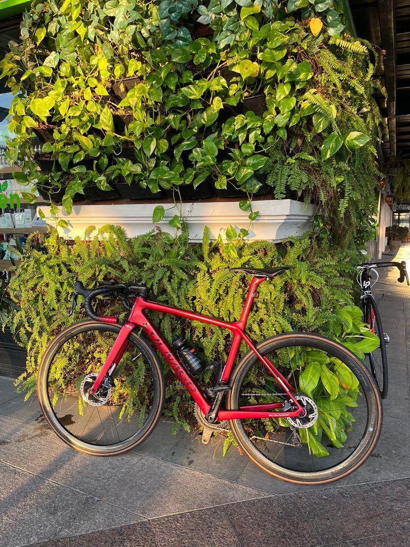 Colnago V2R - Size 45 (50 in standard sizing), Sports Equipment ...