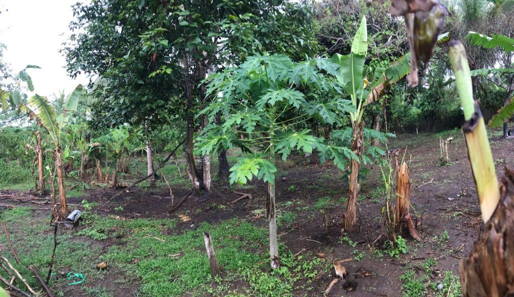Lot For Sale Brgy Puting Kahoy Silang Cavite Property For Sale Lot On Carousell
