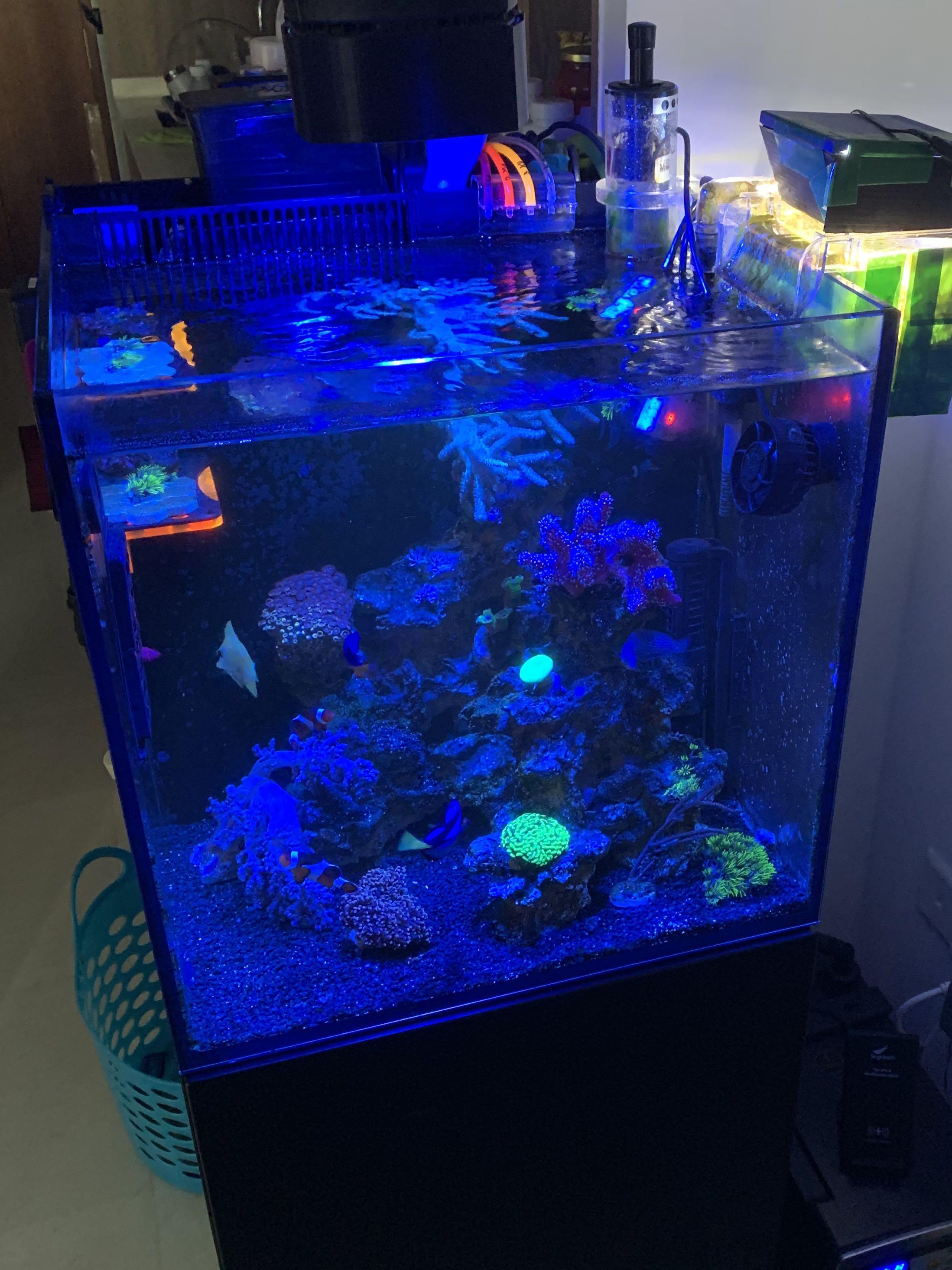 RedSea Max Nano AIO 20gal marine tank with original cabinet, Pet ...