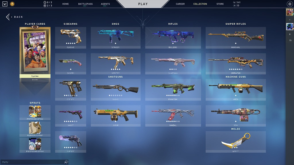 30 Premium Skins Valorant Account , Video Gaming, Gaming Accessories ...