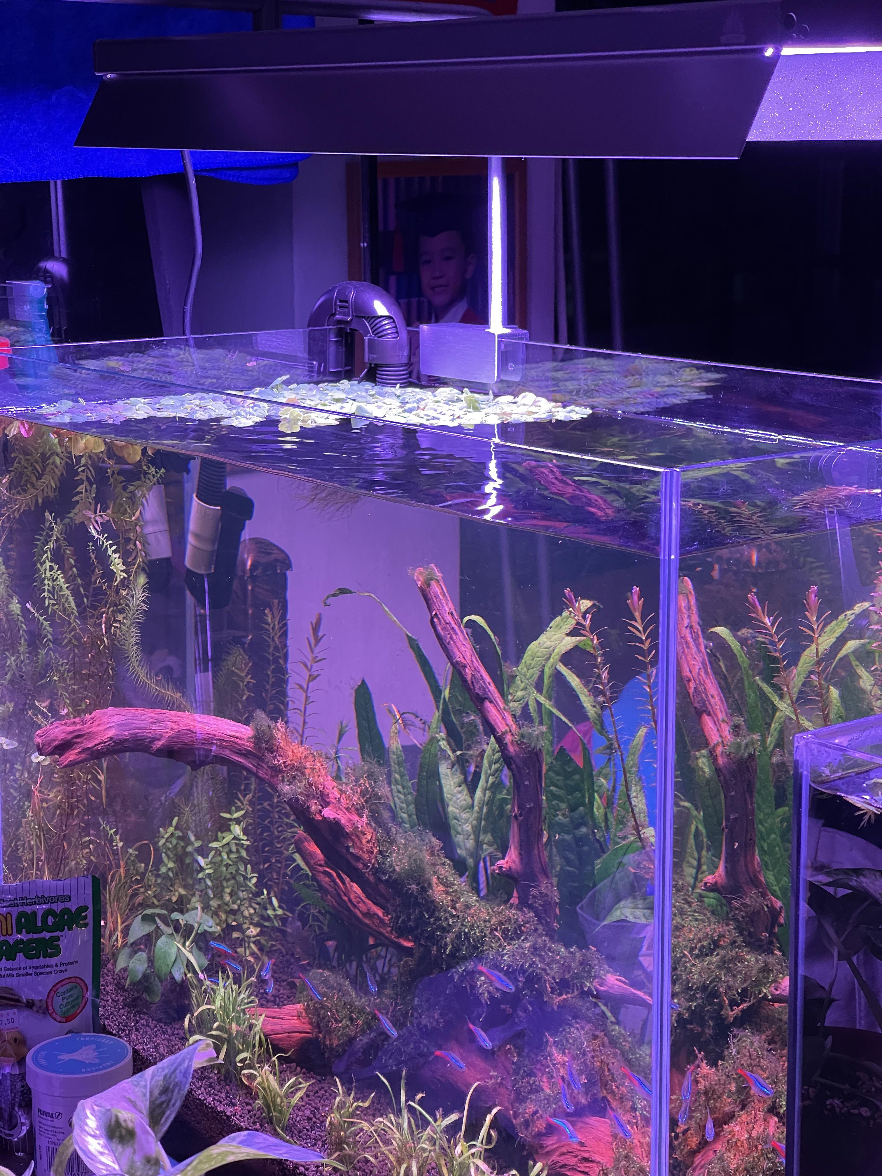 Week Aqua L Series Aquarium Lighting inclusive of Hanging Light Stand ...