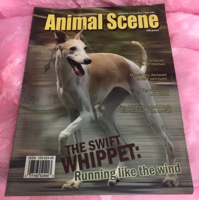 Animal Scene Year 2006, Hobbies & Toys, Books & Magazines, Magazines on ...