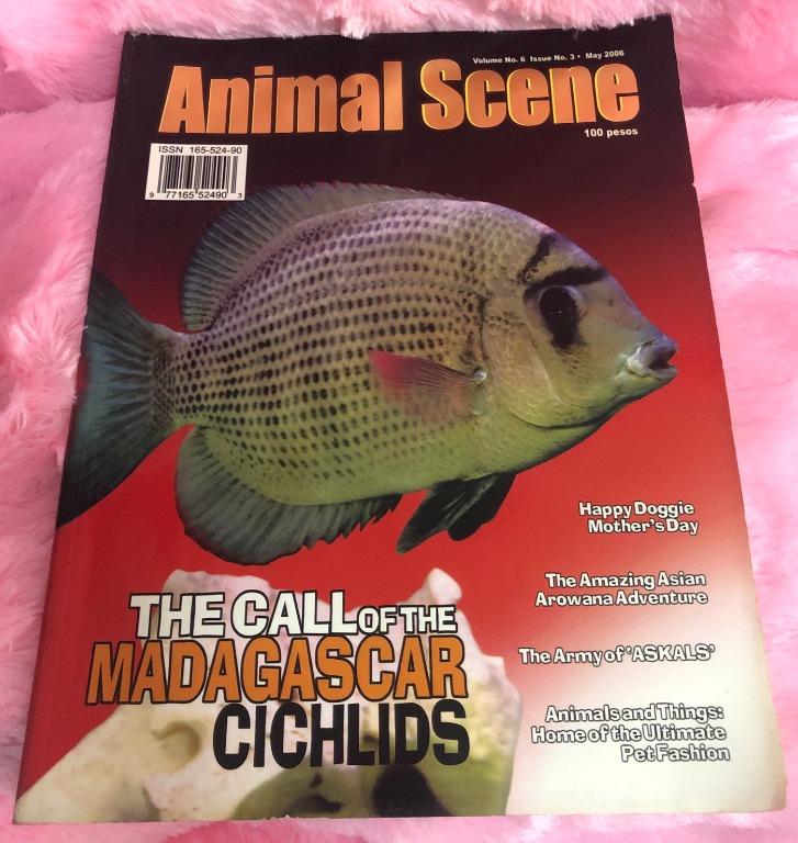 Animal Scene Year 2006, Hobbies & Toys, Books & Magazines, Magazines on ...