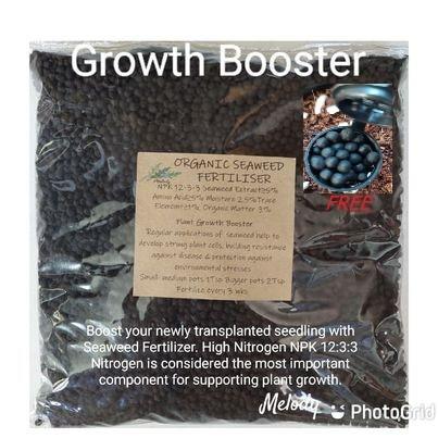 Bone Meal/Seaweed/NPK 888/NPK 555/Black Soldier Fly/Neem Cake ...