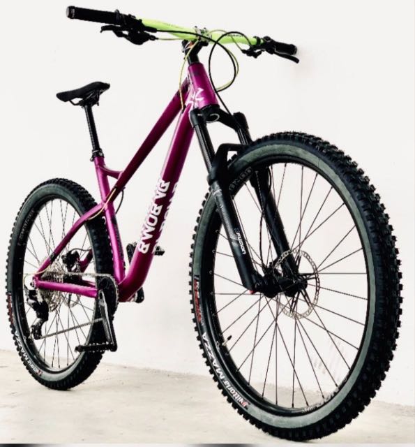 Da Bomb Sentinel (29er) Custom-built MTB, Sports Equipment, Bicycles ...