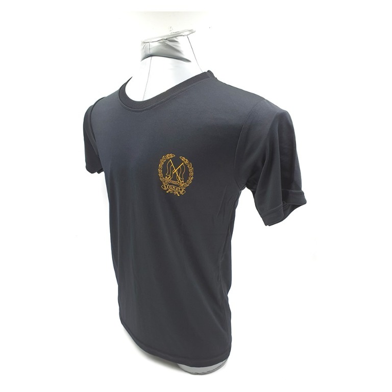 Dri-Fit Army SAF Signal Signals T-Shirt, Men's Fashion, Activewear on ...