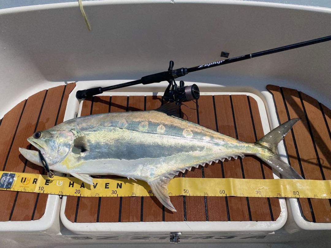 Evergreen Poseidon Zephyr “Stream Whip 87”, Sports Equipment, Fishing ...