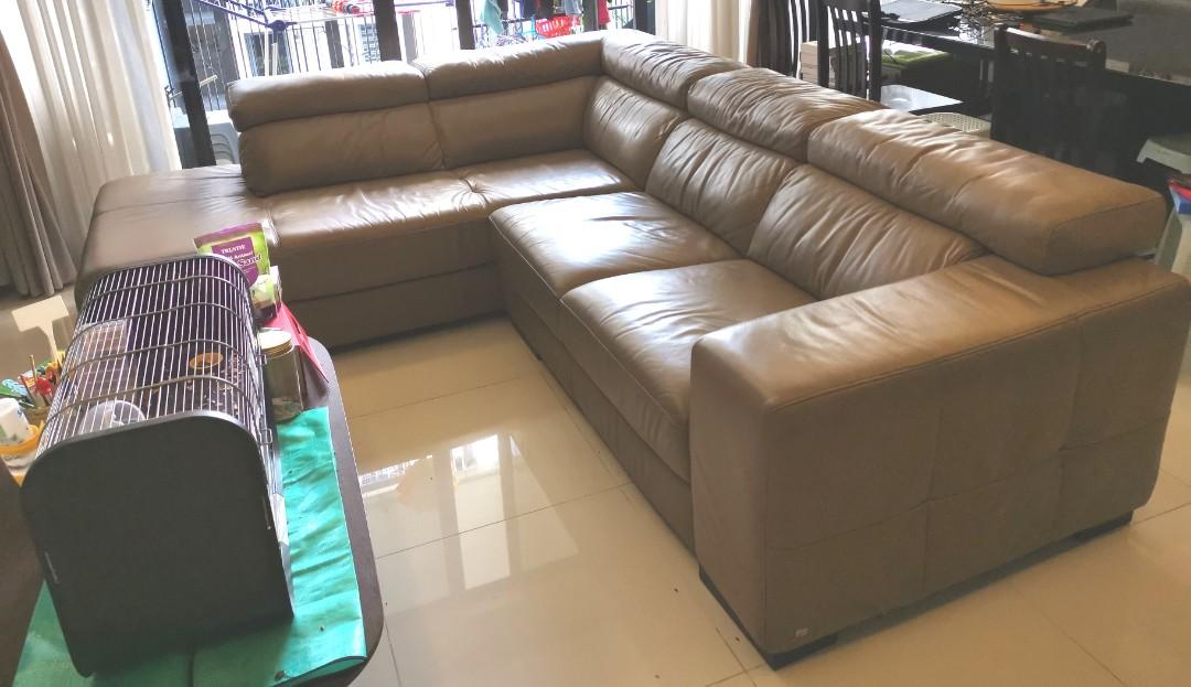 HTL Full leather L shaped Sofa, Furniture & Home Living, Furniture ...