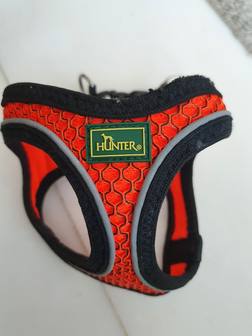 Hunter Harness, Pet Supplies, Homes & Other Pet Accessories on Carousell