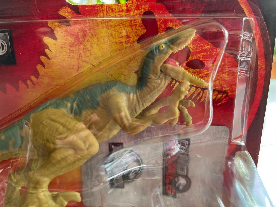 Jurassic World Dino Rivals Velociraptor Echo, Hobbies & Toys, Toys ...