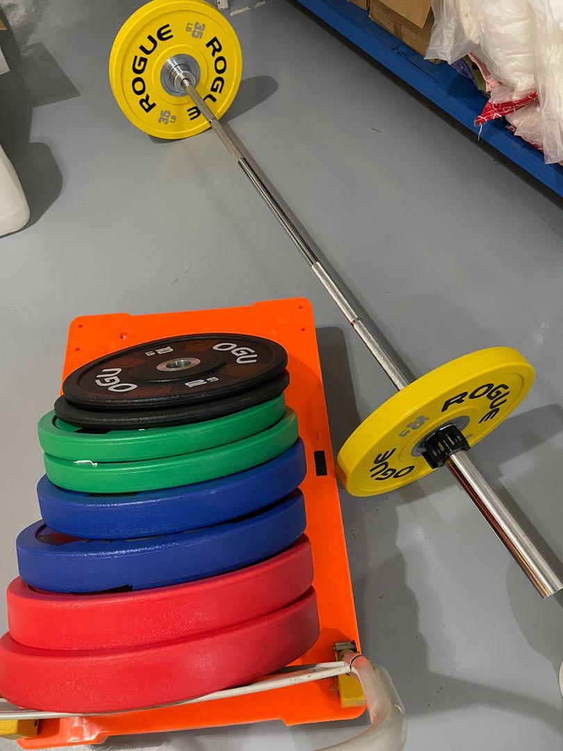 *Moving out sales* Rogue Weights and Olympic bar, Sports Equipment ...