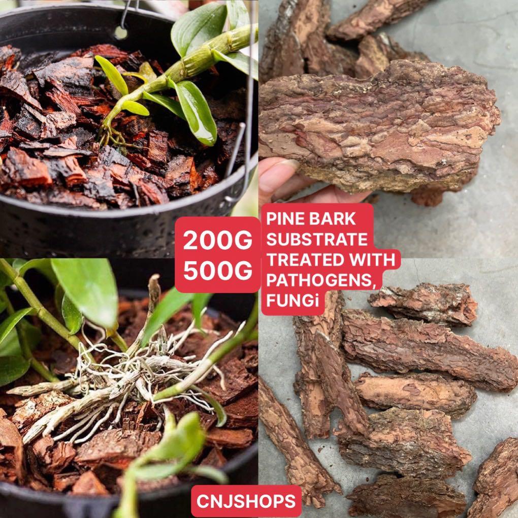 PINE BARK SUBSTRATE TREATED WITH PATHOGENS, FUNGI, Furniture & Home ...