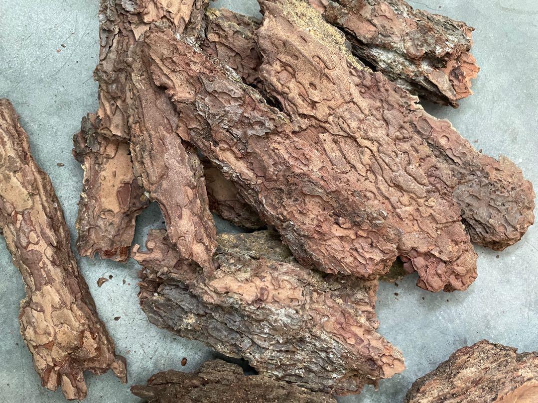 PINE BARK SUBSTRATE TREATED WITH PATHOGENS, FUNGI, Furniture & Home ...