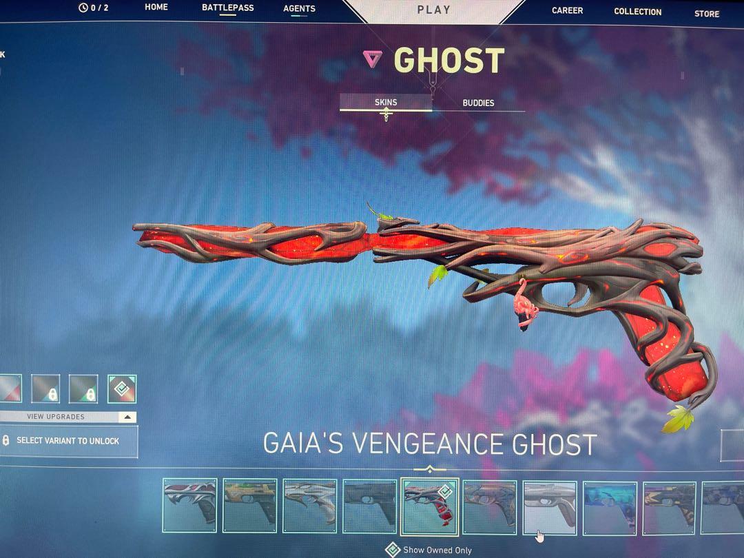 Valorant plat 2 account, Video Gaming, Gaming Accessories, Game Gift ...