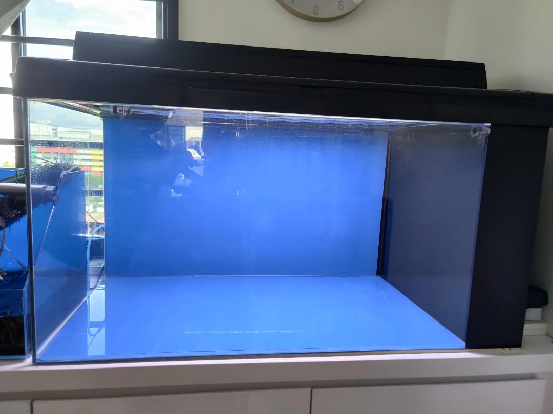 Crystal clear fish tank, Pet Supplies, Homes & Other Pet Accessories on ...