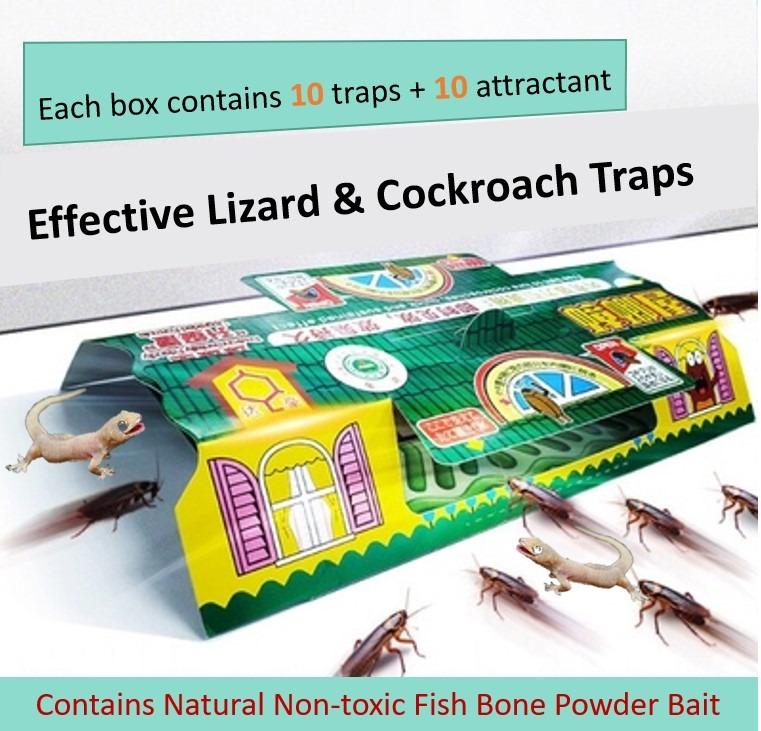 Effective Safe Lizard (Cicak) & Roach Smart Trap (1 trap), Furniture ...