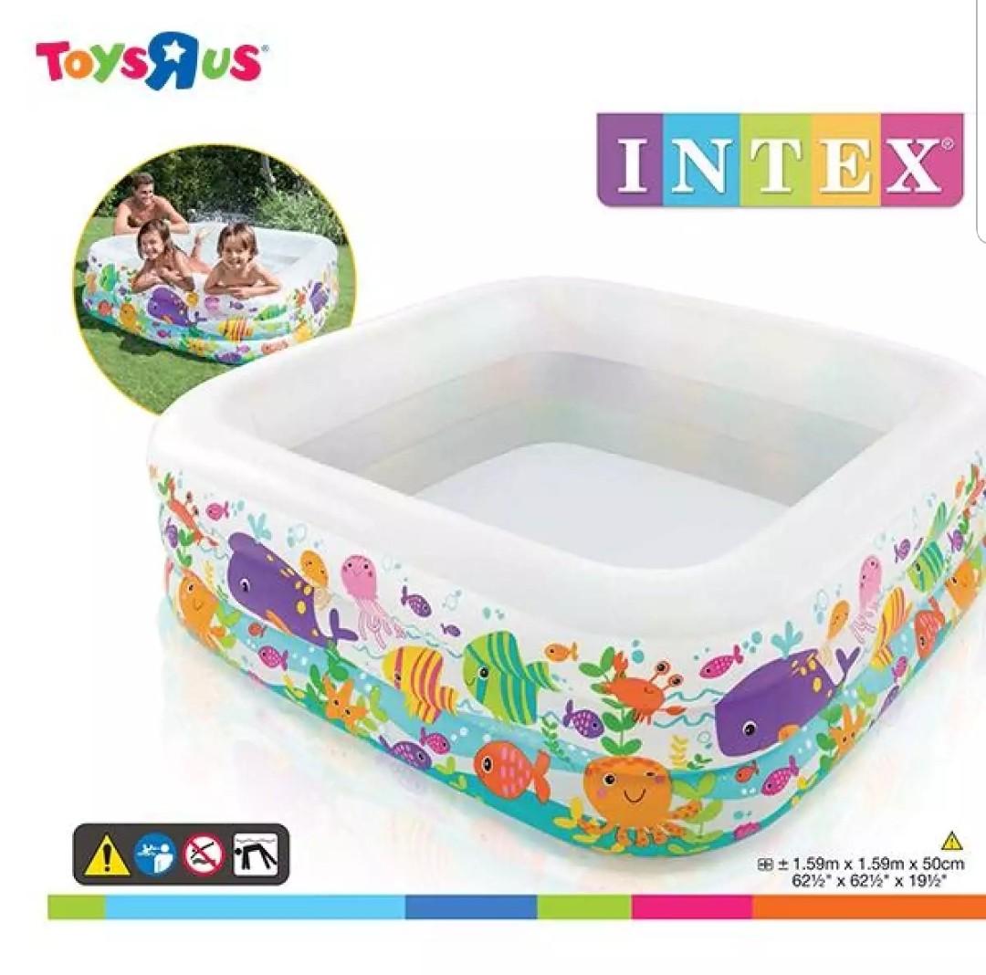 Intex Swim Center Clearview Aquarium Inflatable Pool, Sports Equipment ...