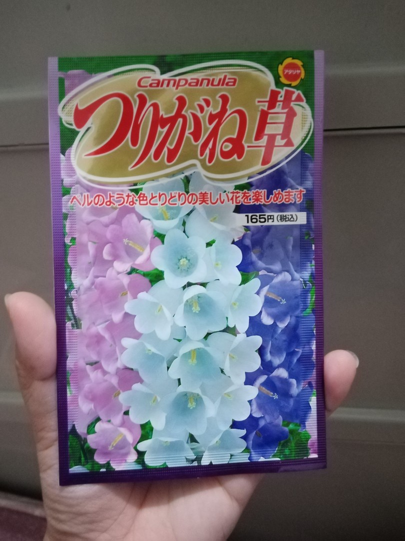 Japanese flower seeds, Furniture & Home Living, Gardening, Plants ...