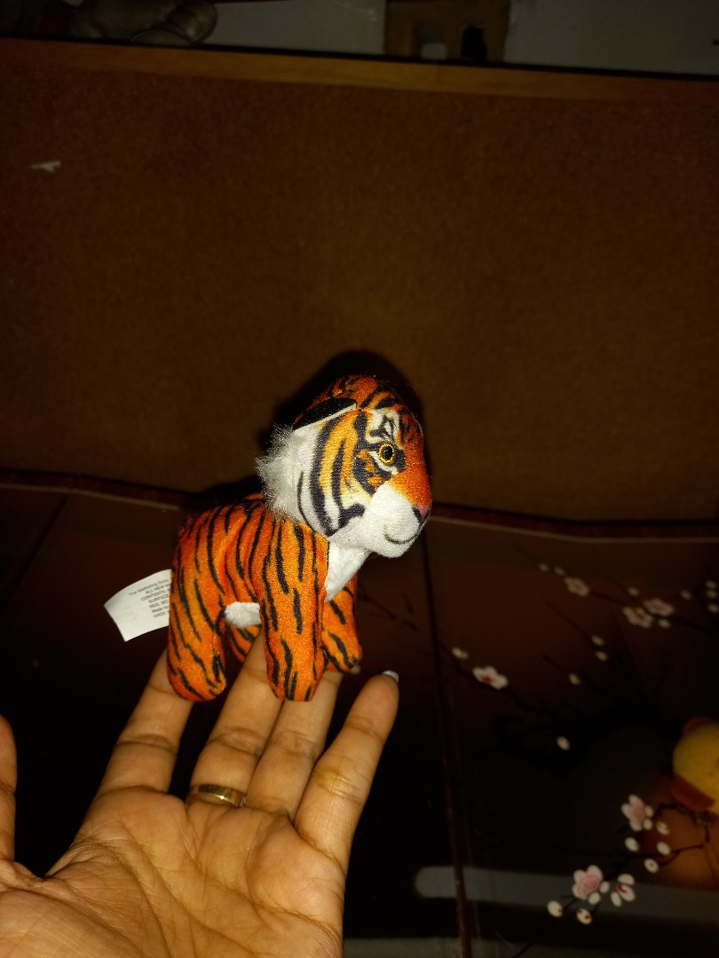 National Geographic Tiger, Hobbies & Toys, Toys & Games on Carousell