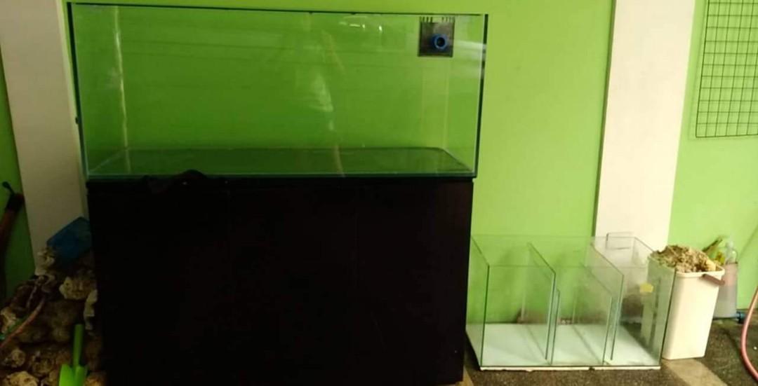 Acrylic Glass Aquarium 90 Gallons w/ Cabinet Stand, Pet Supplies, Homes ...