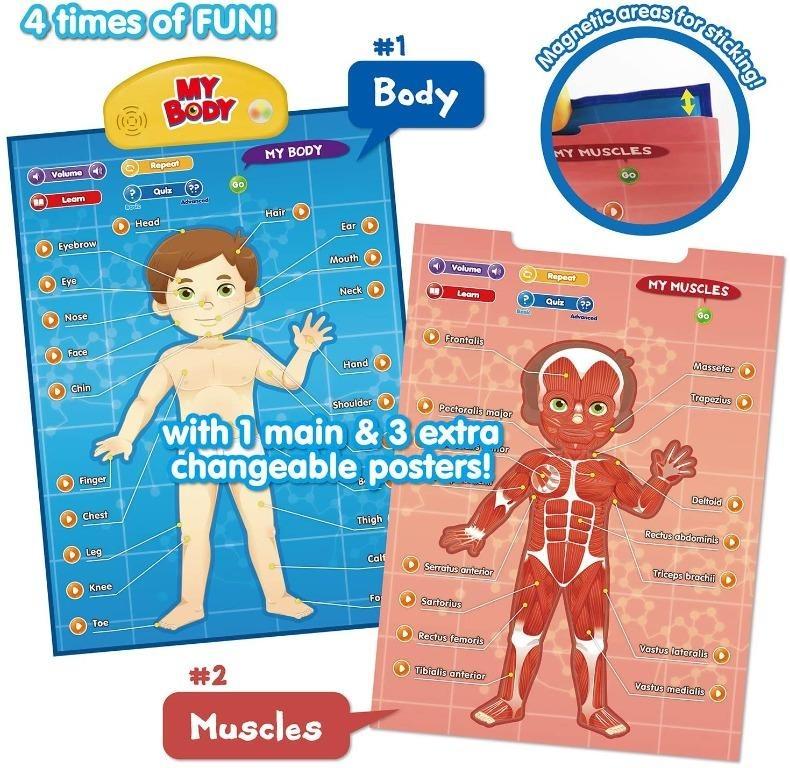 BEST LEARNING i-Poster My Body - Interactive Educational Human Anatomy ...