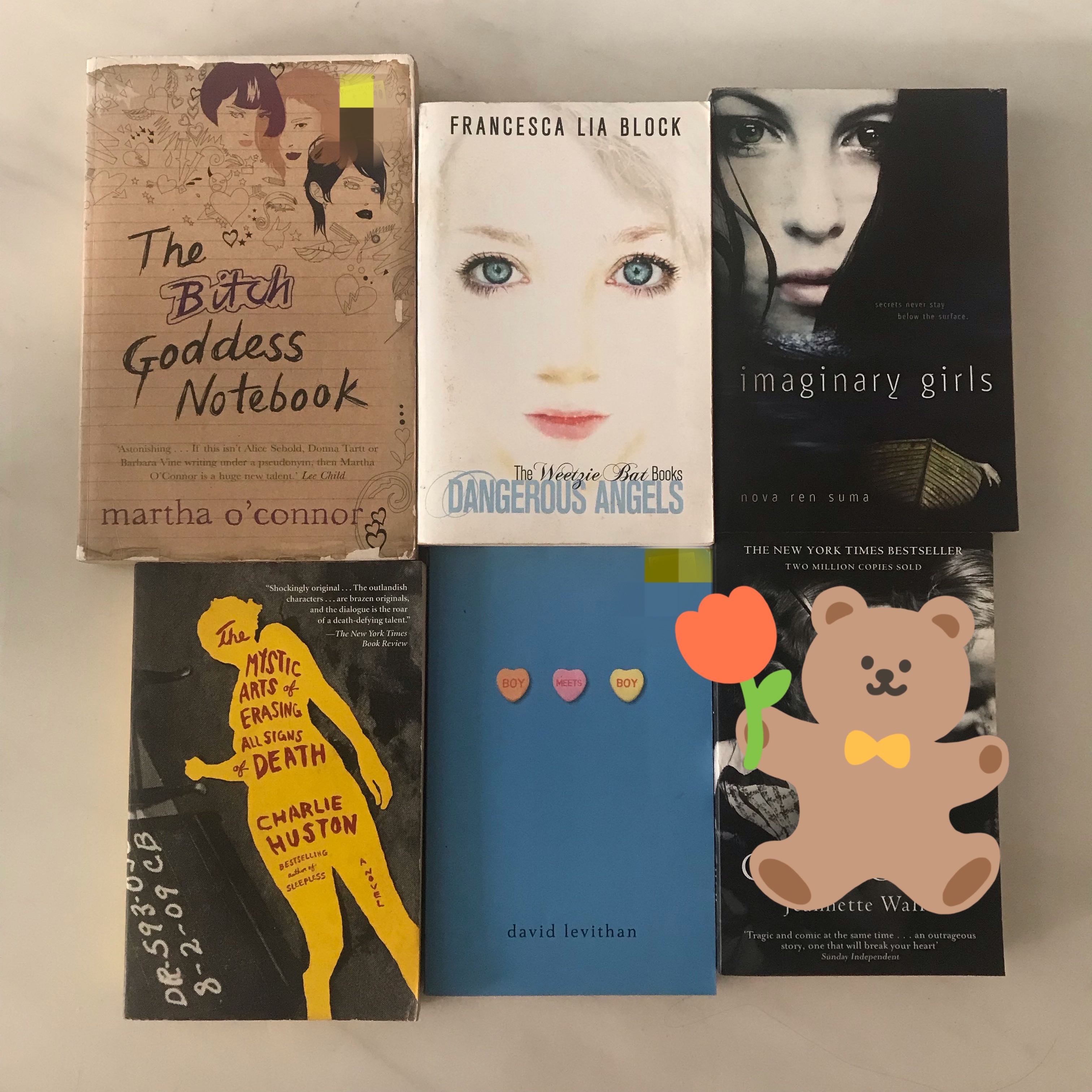 Boy Meets Boy David Levithan / Imaginary Girls Nova Ren Suma ...