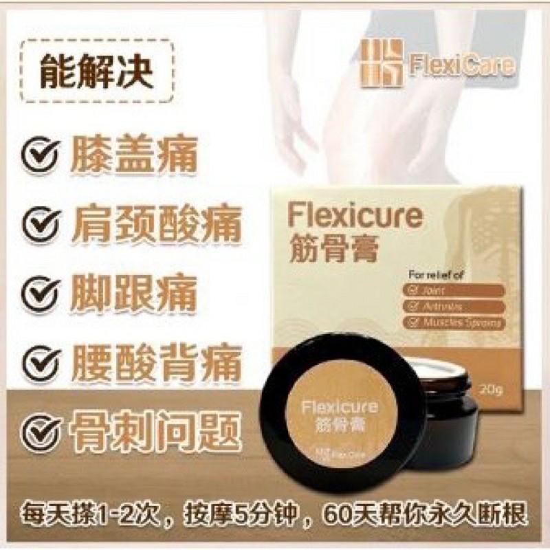 Flexicare Flexicure Pain Relief Paste 筋骨王緩解疼膏, Health & Nutrition ...