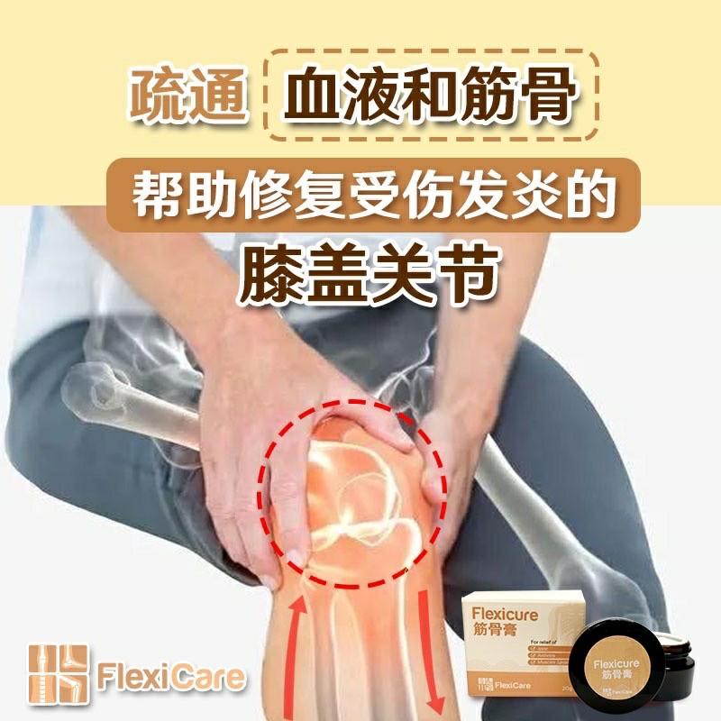 Flexicare Flexicure Pain Relief Paste 筋骨王緩解疼膏, Health & Nutrition ...