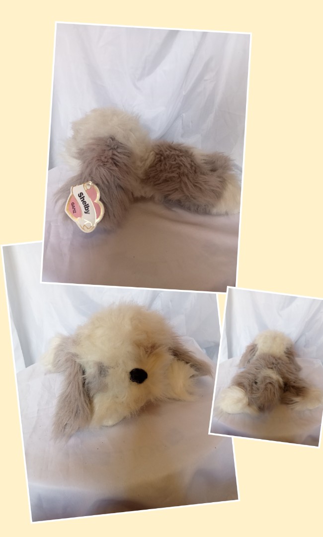 Shelby Dog plush, Hobbies & Toys, Toys & Games on Carousell