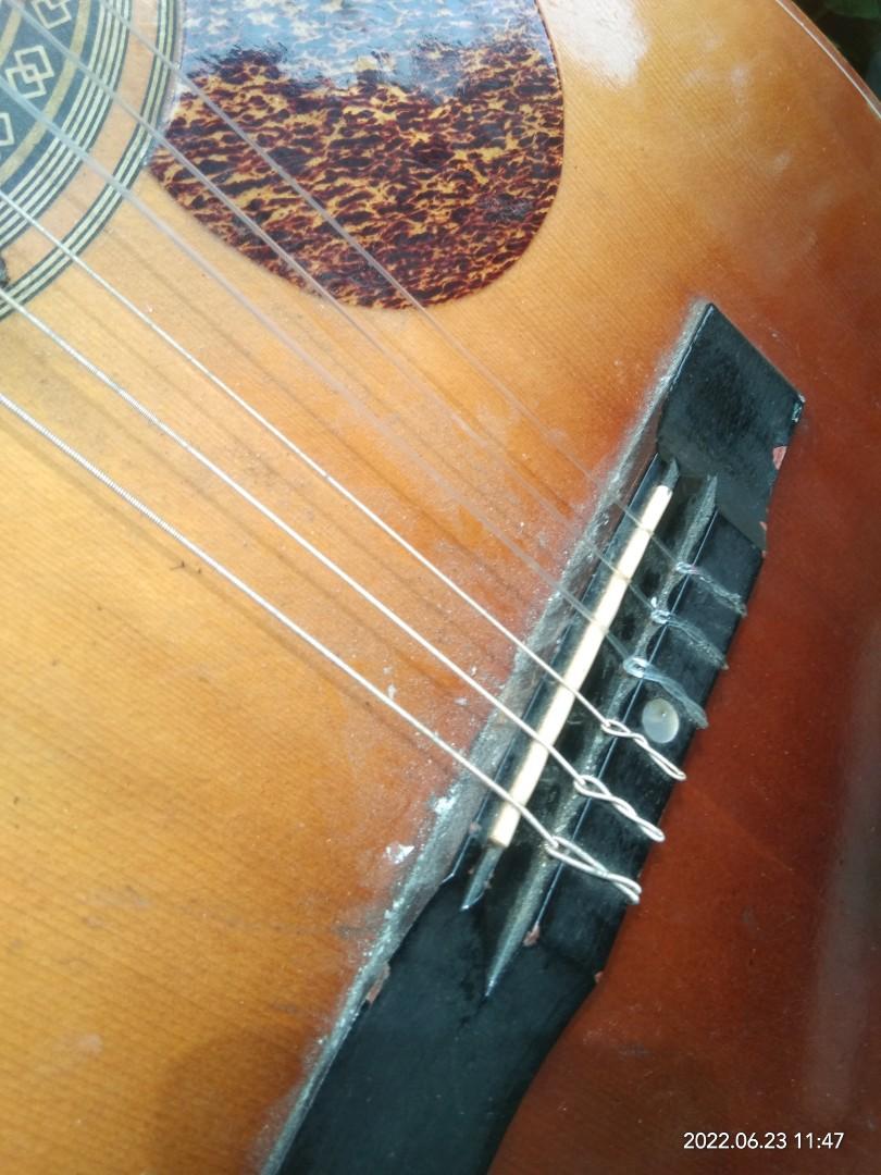 Splendor guitar (model g35), Hobbies & Toys, Music & Media, Musical ...