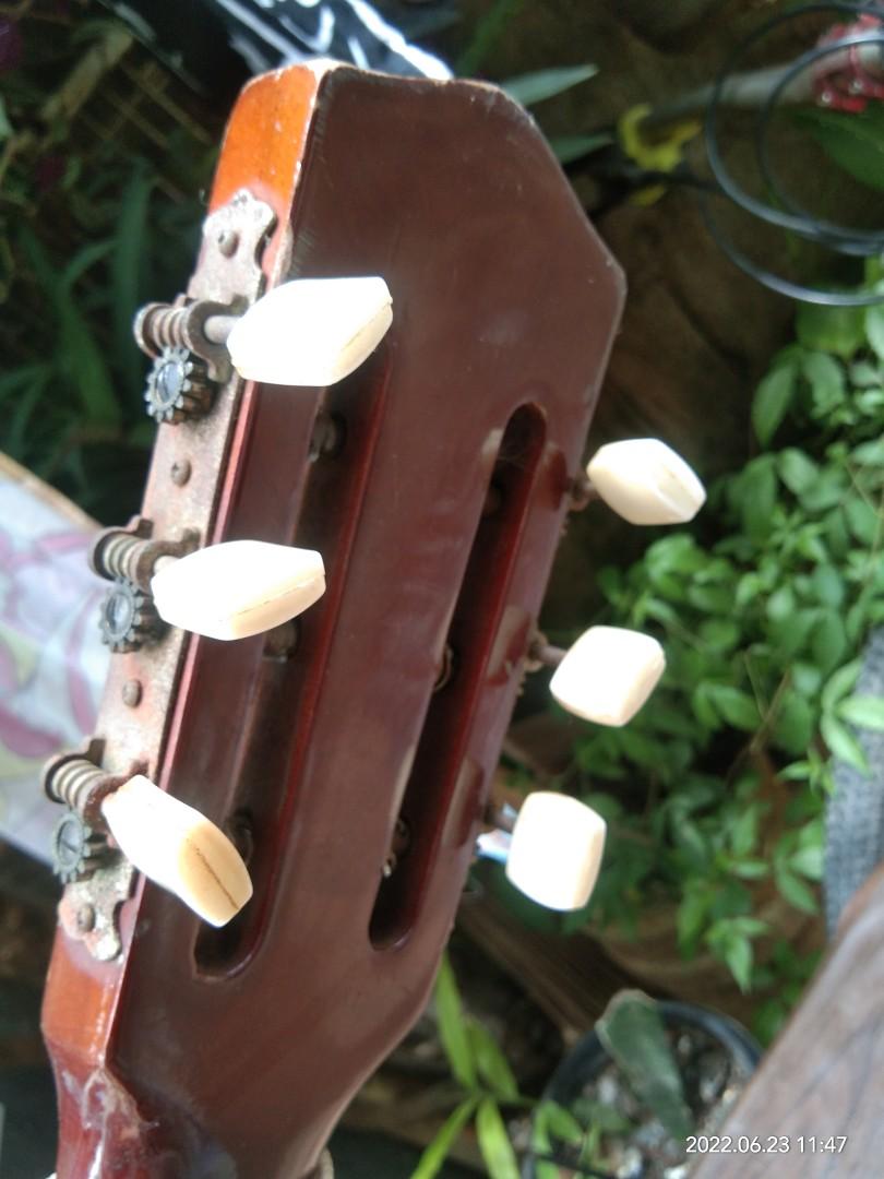 Splendor guitar (model g35), Hobbies & Toys, Music & Media, Musical ...