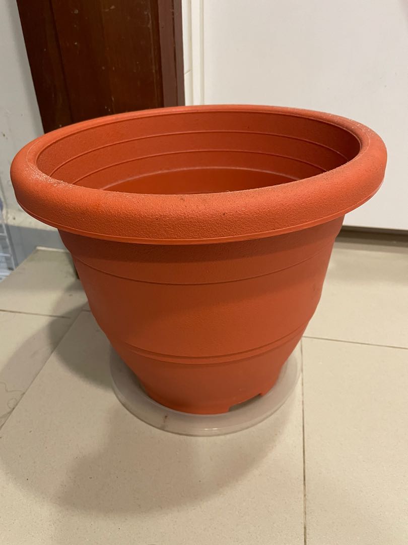 Baba Pot, Furniture & Home Living, Gardening, Pots & Planters on Carousell