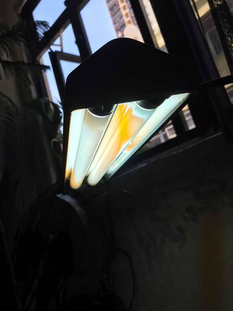 Dazor Fluorescent Desk lamp, 傢俬＆家居, 燈飾及風扇, 燈飾 - Carousell