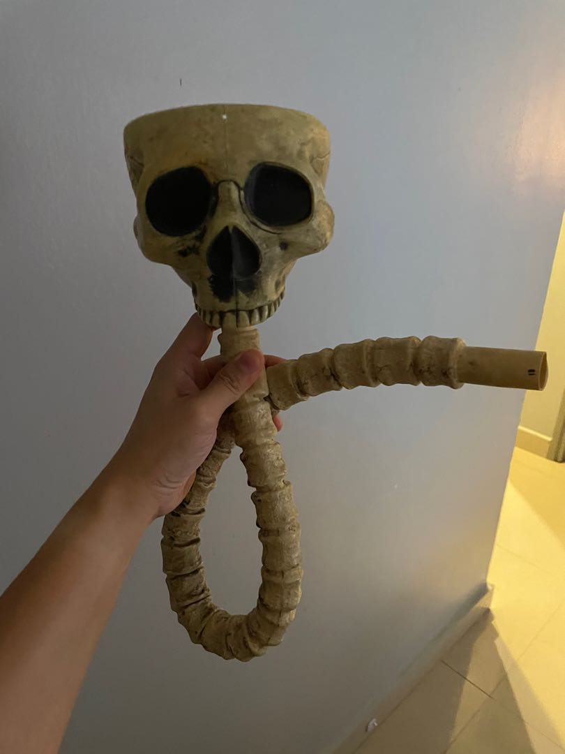 Skull Beer Bong, Food & Drinks, Beverages on Carousell