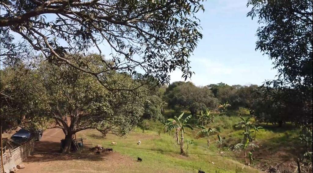 Bulacan - TUNGKO San Jose Del Monte Farm via IGAY road, Property, For ...