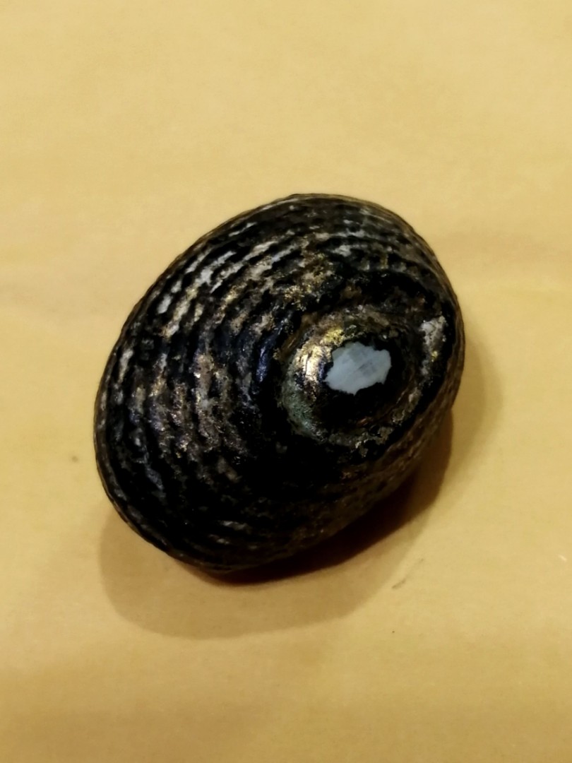 LP Boon Bell Yee Wat Kang Mun Keaw B.E 2465, Hobbies & Toys ...