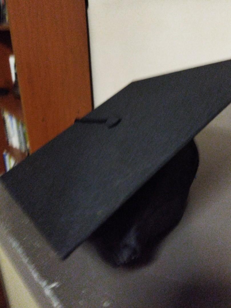 NUS Humanities & Social Sciences Graduation Gown L Size with Cap, Men's ...