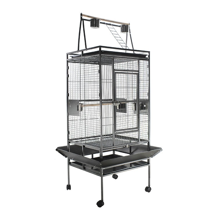 Parrot cage suitable for CAG, Pet Supplies, Homes & Other Pet ...
