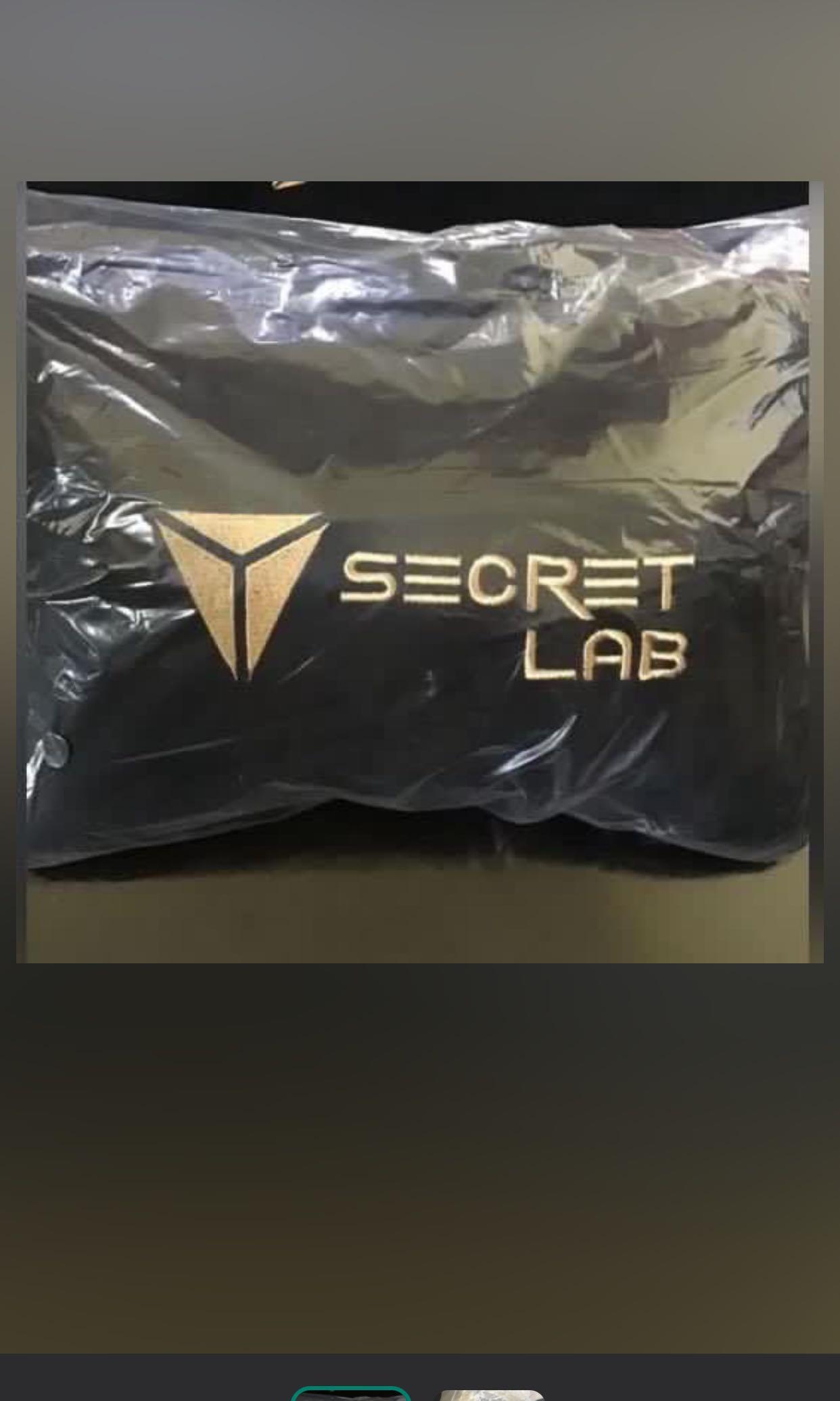 Secret lab cushion, Video Gaming, Gaming Accessories, In-Game Products ...