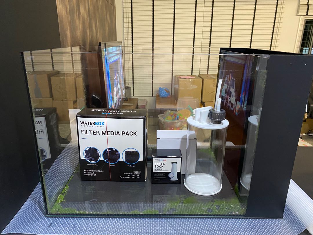Waterbox Peninsula Mini 25, Pet Supplies, Homes & Other Pet Accessories ...