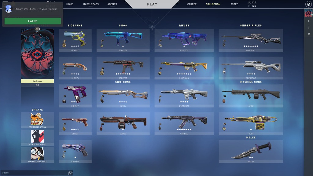 Cheap valorant! Good premium skins and low rank!, Video Gaming, Video ...