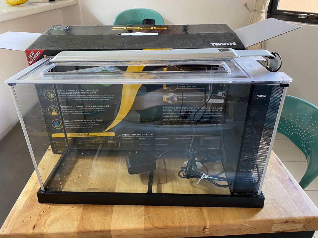 Fluval Spec 19L fish tank, Pet Supplies, Homes & Other Pet Accessories ...