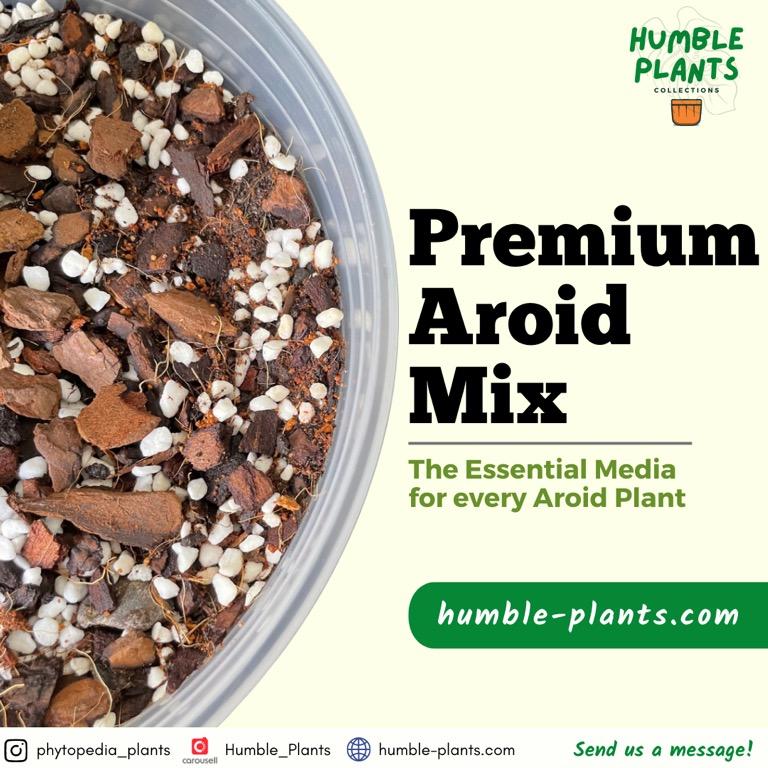 Premium Aroid Mix by Humble Plants - Essential Media for Philodendron ...