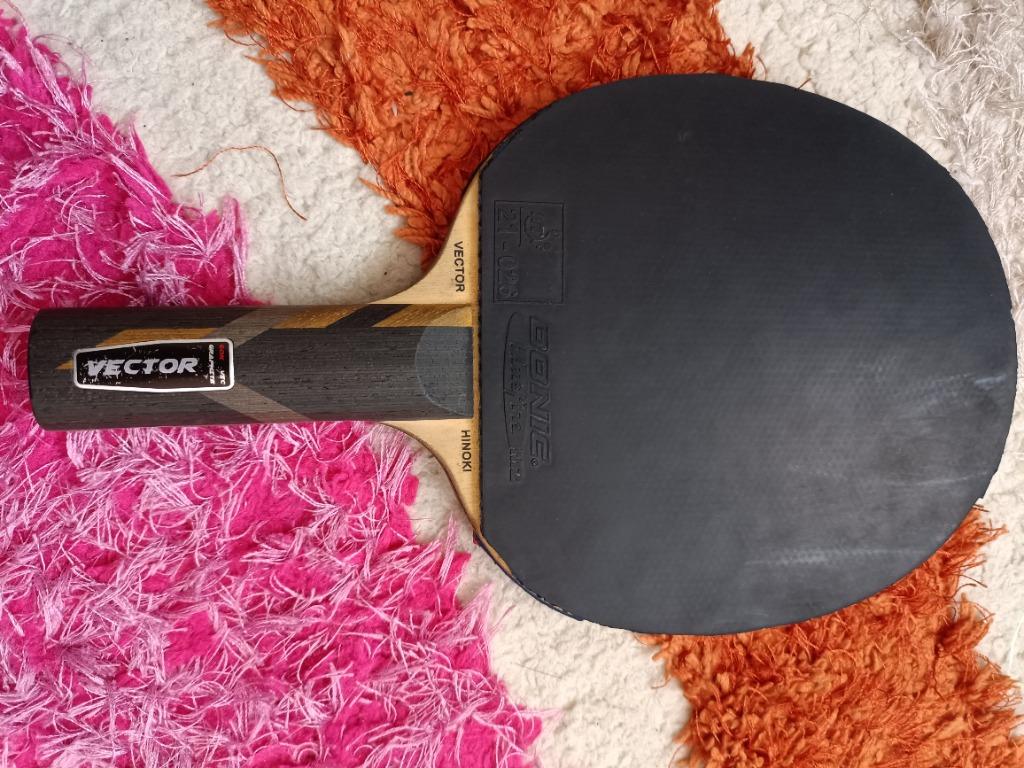 Bat ping pong, Sports Equipment, Sports & Games, Racket & Ball Sports ...