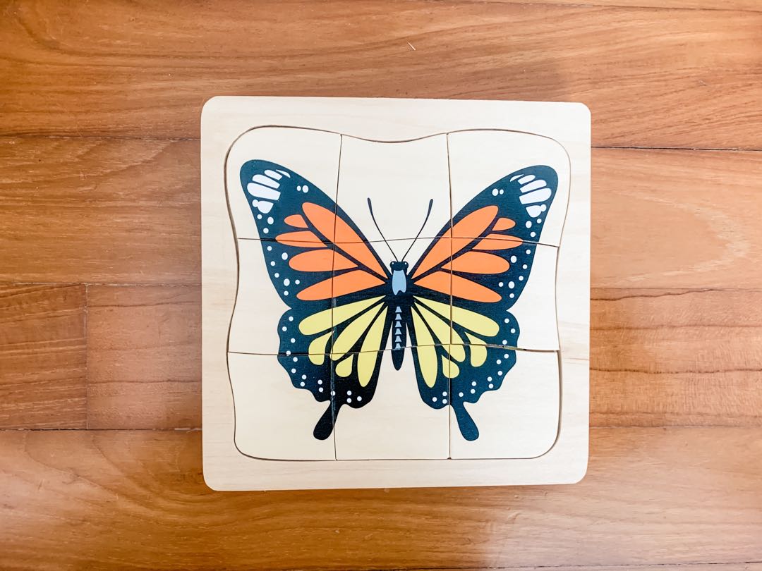Butterfly life cycle puzzle, Hobbies & Toys, Toys & Games on Carousell